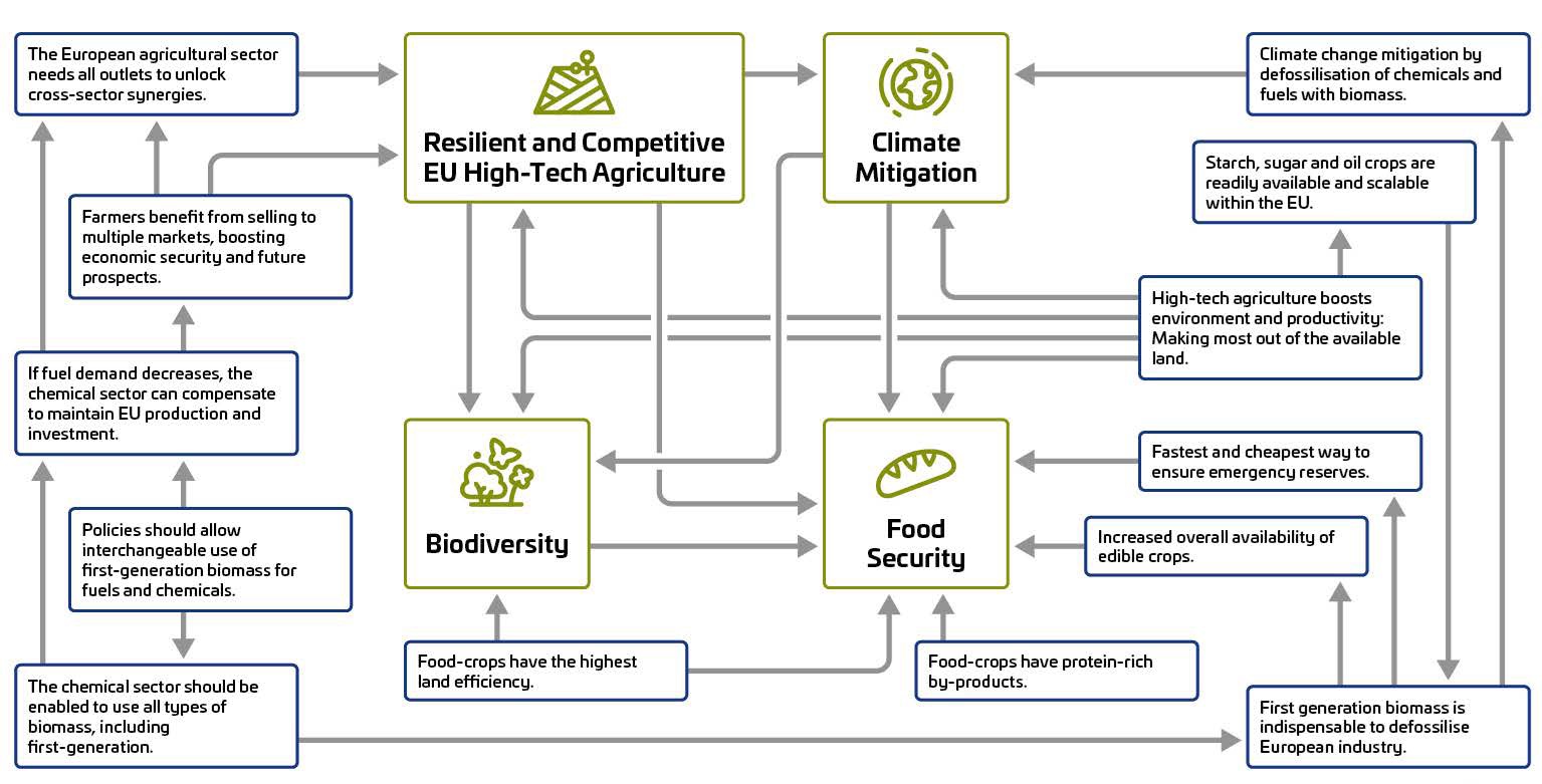 New Report Confirms Benefits of Using First-Generation Biomass for Food ...